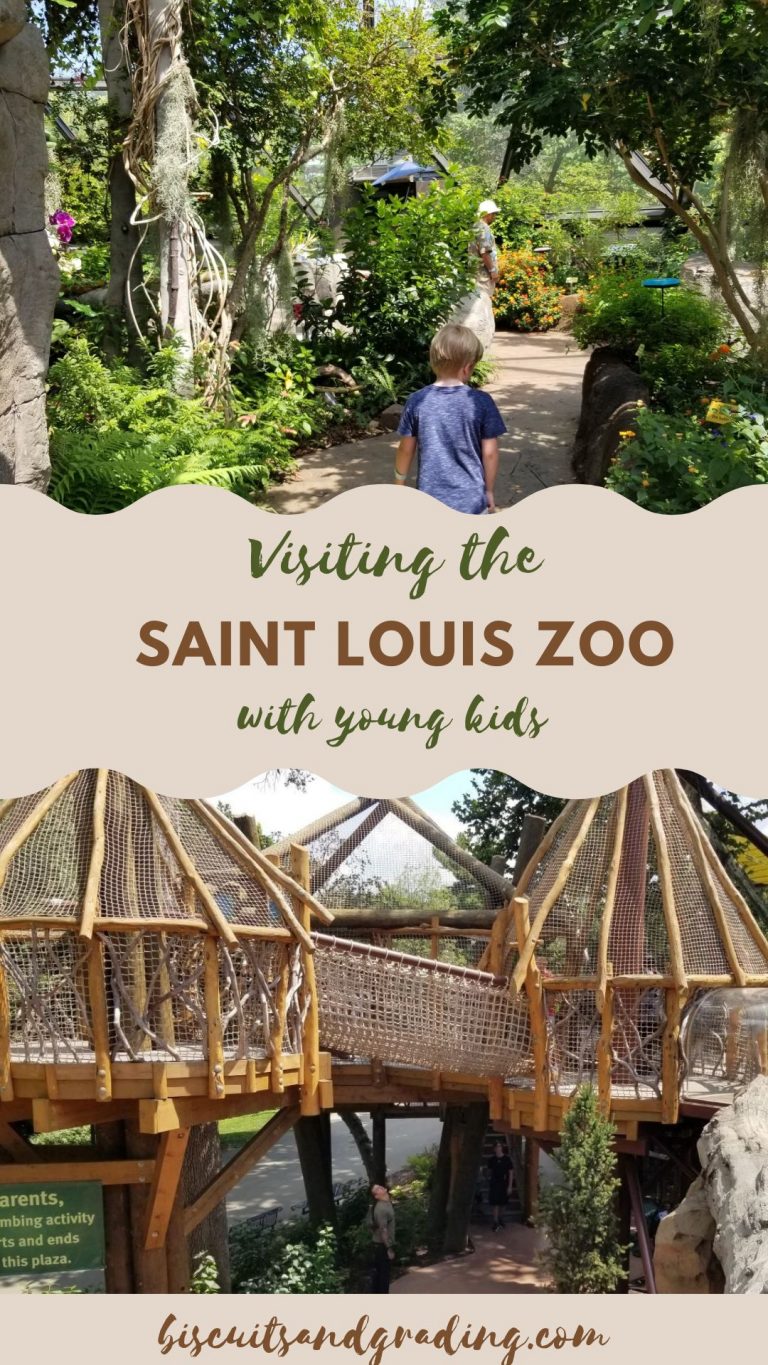 Visiting the Saint Louis Zoo - Biscuits and Grading