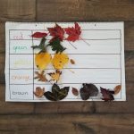 Fall Leaf Hunt + FREE Printable Book (Fall Leaves Week) - Biscuits and ...