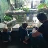 Visiting the Saint Louis Zoo - Biscuits and Grading